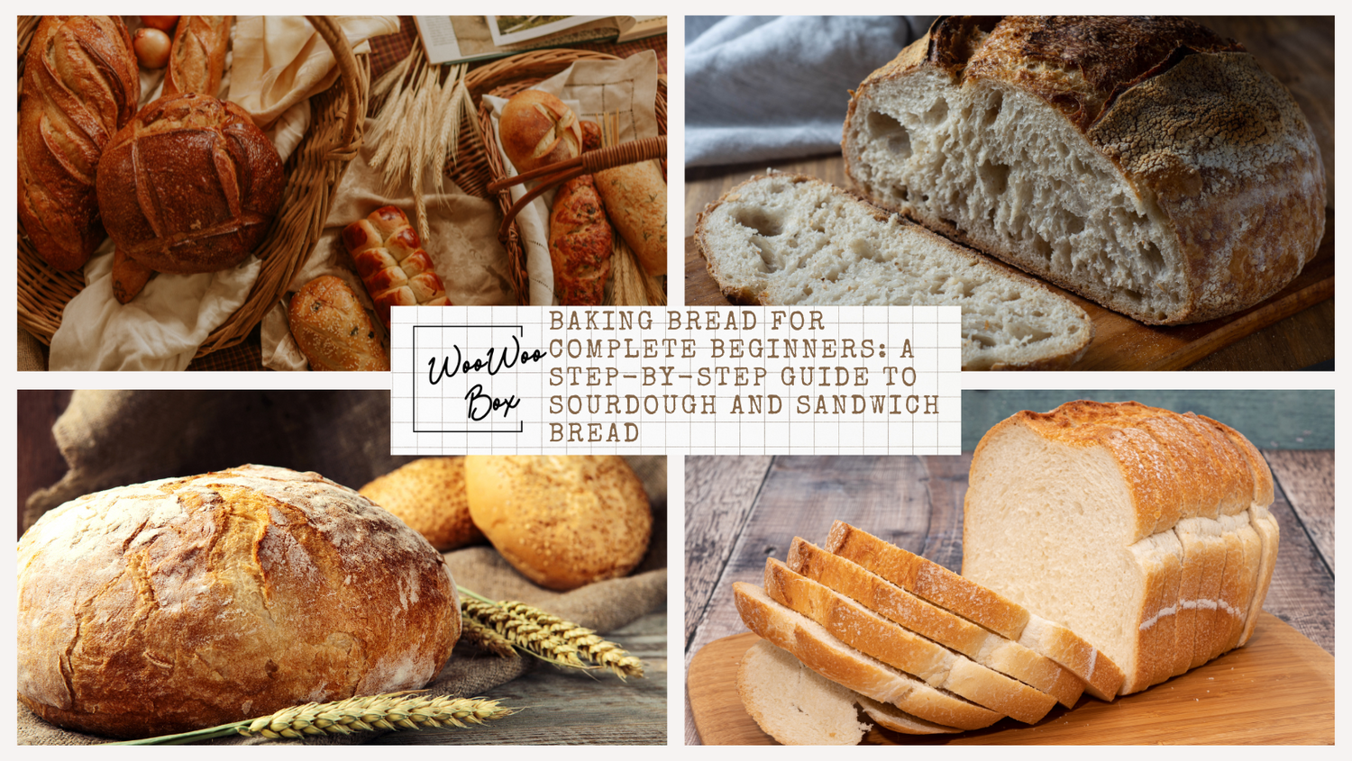 Baking Bread for Complete Beginners: A Step-by-Step Guide to Sourdough ...